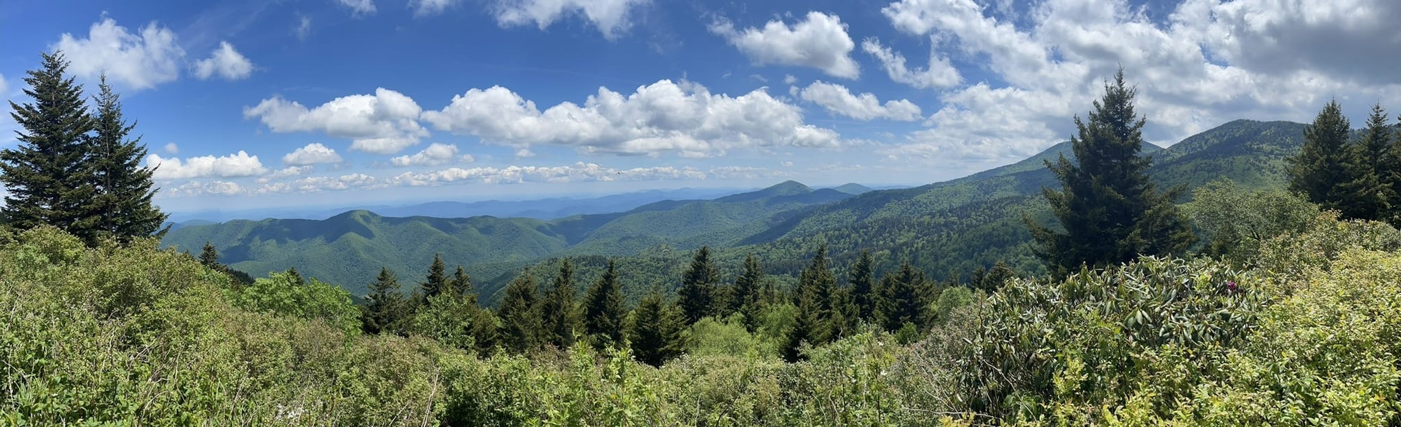 AllTrails | Old Mitchell to Commissary Loop: 153 Reviews, Map - North ...