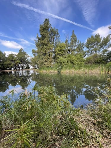 Best Hikes and Trails in Ernest E Debs Regional Park | AllTrails