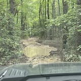 Brown Mountain OHV Trail, North Carolina - 135 Reviews, Map | AllTrails