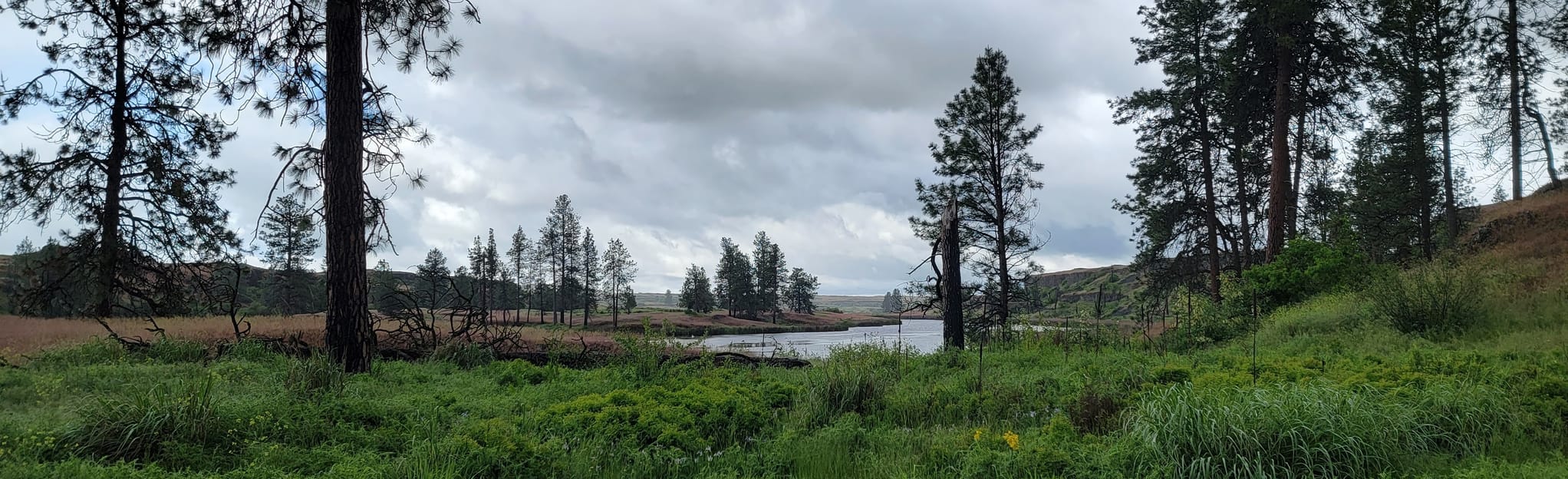 Fishtrap Lake Overlook: 84 Reviews, Map - Washington | AllTrails