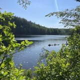 Stonehouse Pond, New Hampshire - 510 Reviews, Map | AllTrails