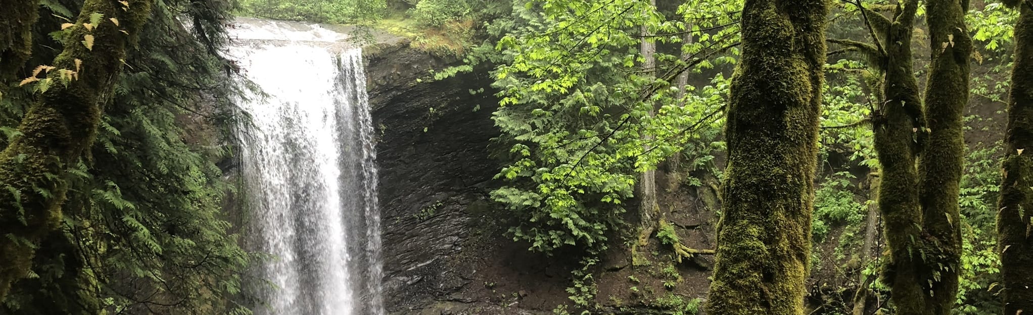 Ammonite Falls Loop: 194 Reviews, Map - British Columbia, Canada | AllTrails