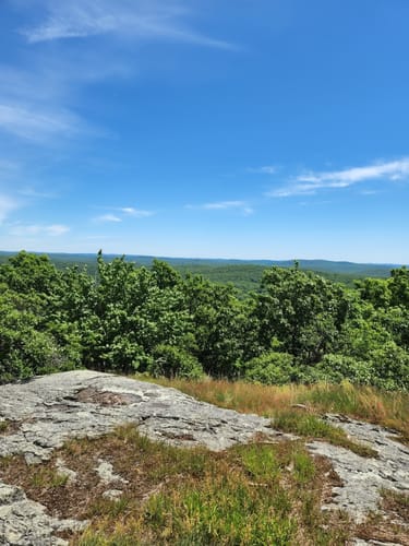 2023 Best Wild Flowers Trails in Kent Cliffs | AllTrails