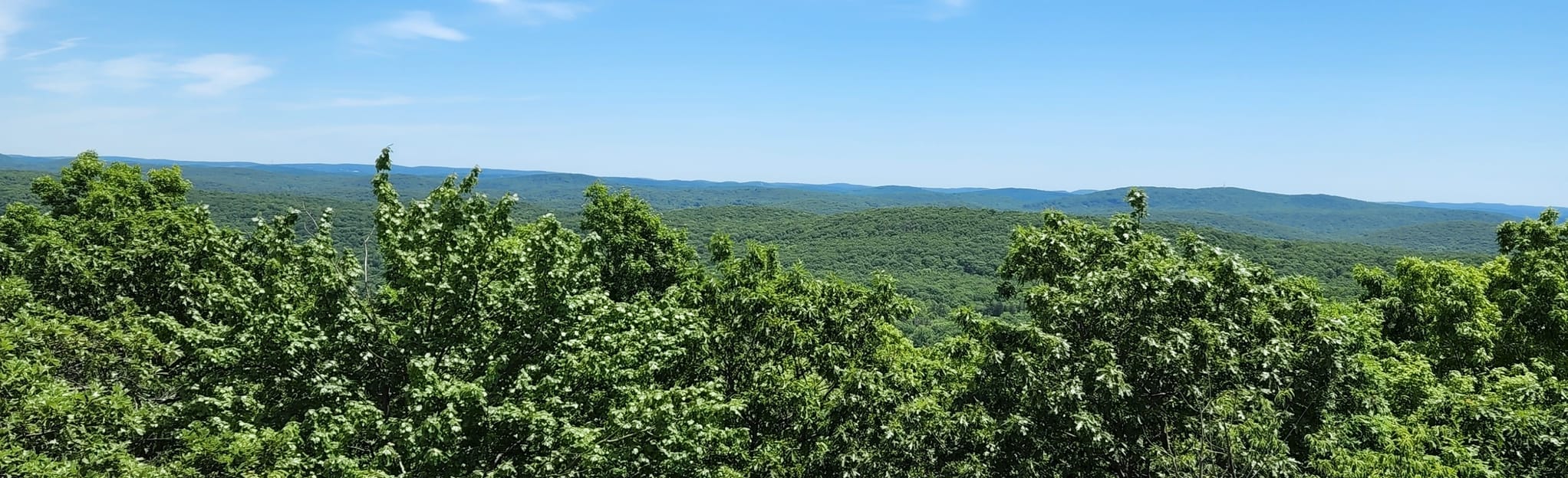 RPH Shelter via Appalachian Trail, New York - 37 Reviews, Map | AllTrails