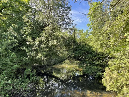 10 Best Trails and Hikes in Cambridge | AllTrails