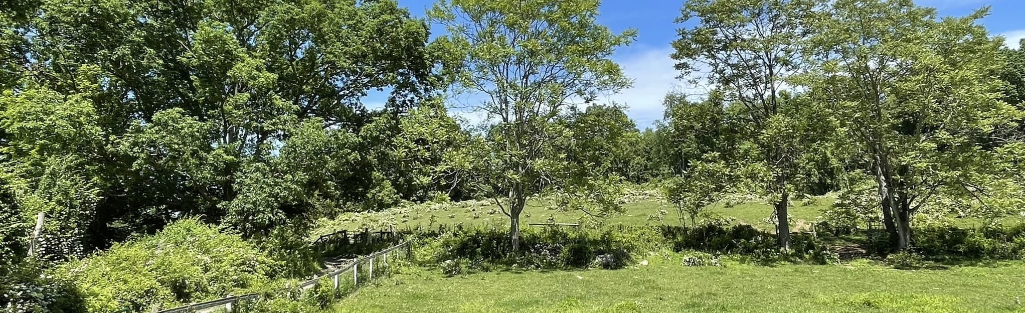 Muscoot Farm Loop: 166 Reviews, Map - New York | AllTrails