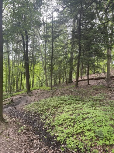 Best 10 Hikes and Trails in North Chagrin Reservation | AllTrails