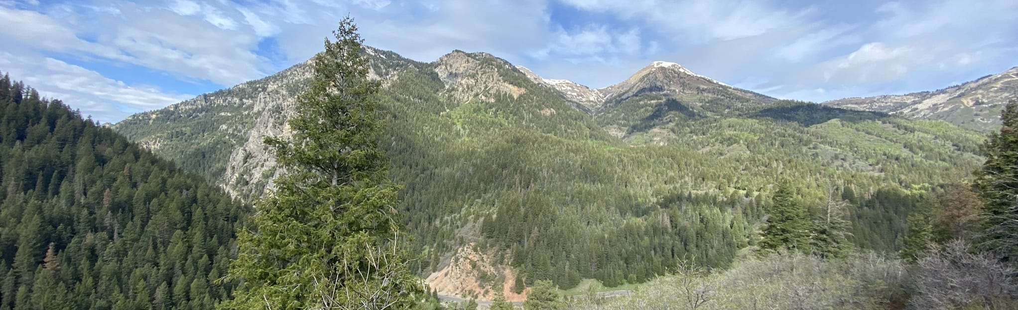 Tibble Fork Trail: 135 Reviews, Map - Utah | AllTrails