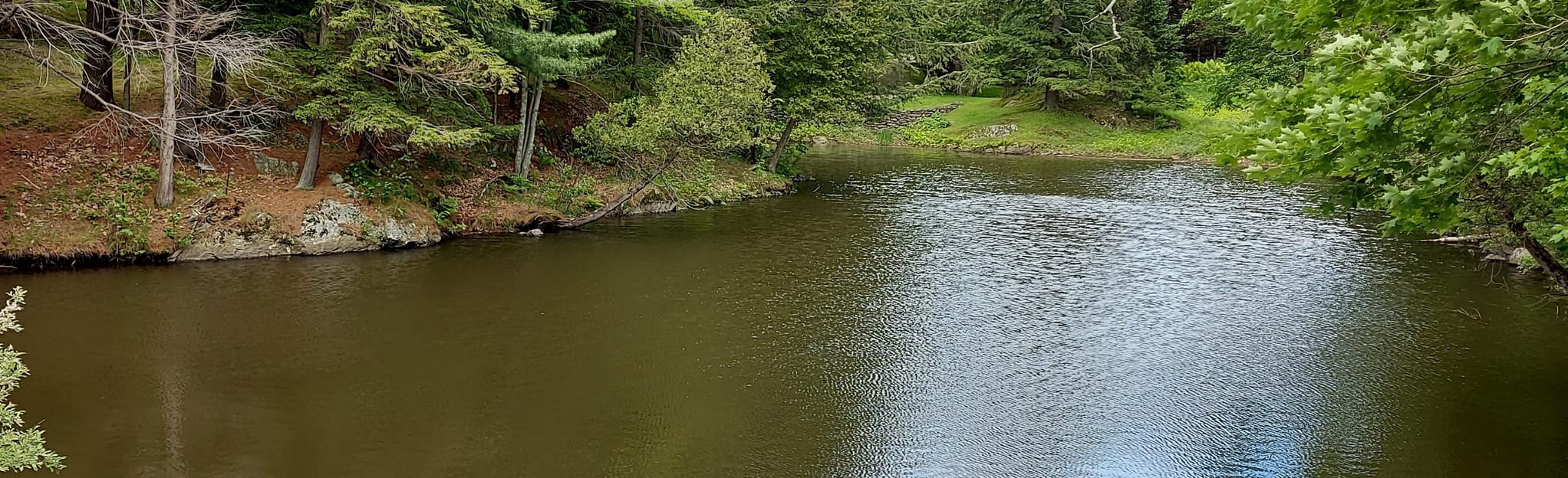 Brome Lake to Waterloo Lake Trail: 70 foto's - Quebec, Canada | AllTrails