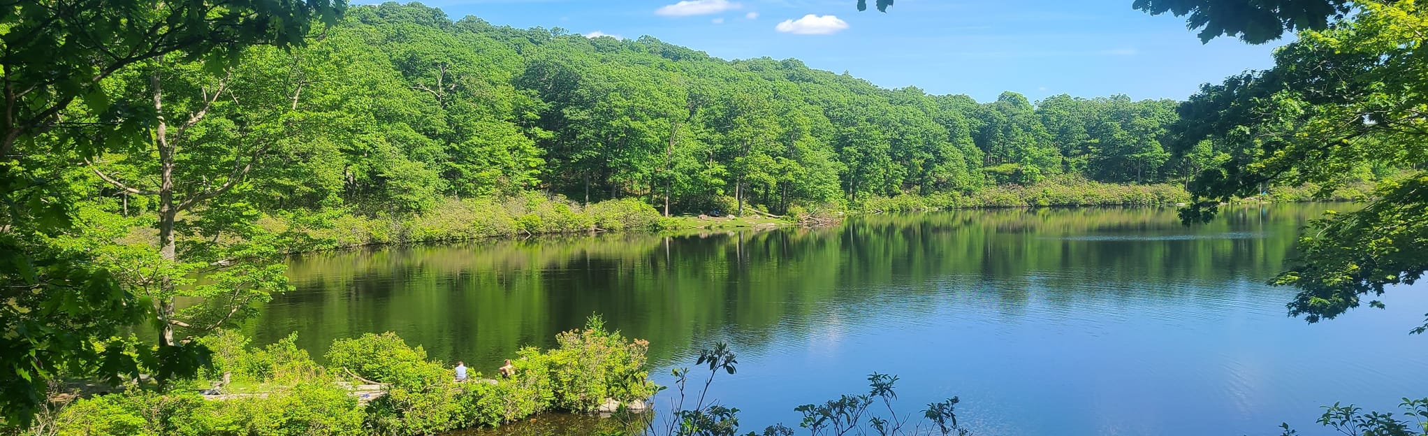 Tom Jones, Parker Cabin and Lake Skenonto: 1.307 foto's - New York ...
