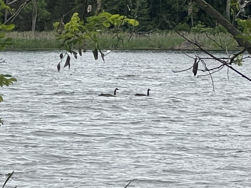 De beste routes in Luther Marsh Conservation Area voor 2023 | AllTrails