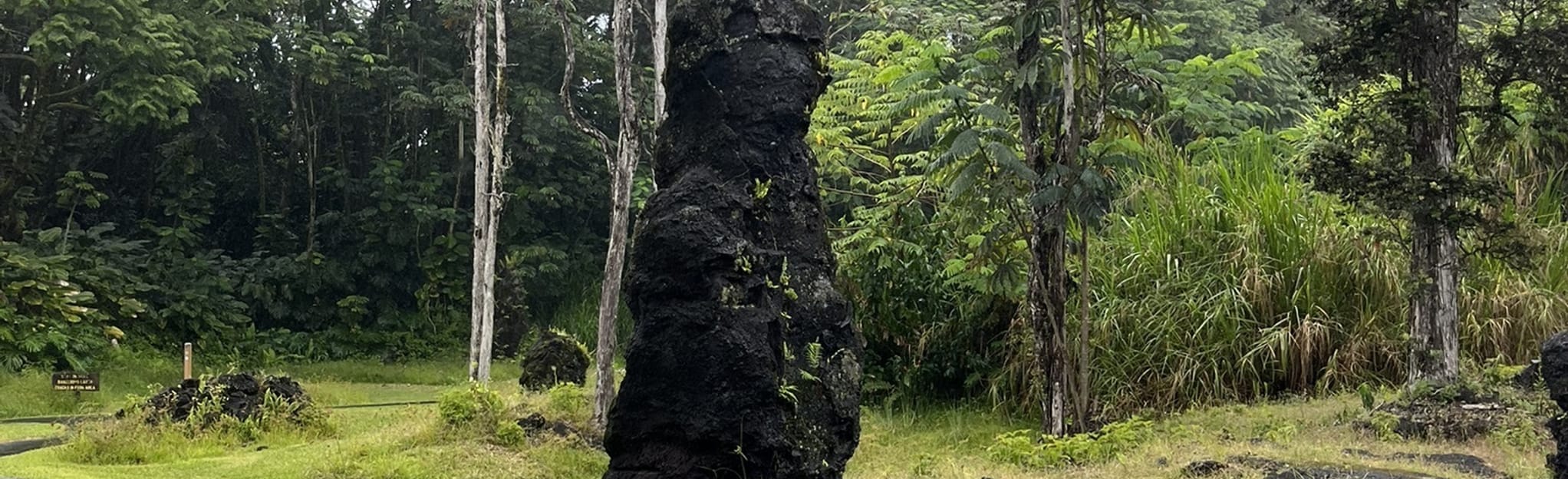 Lava Tree Trail: 178 foto - Hawaii, Hawaii | AllTrails