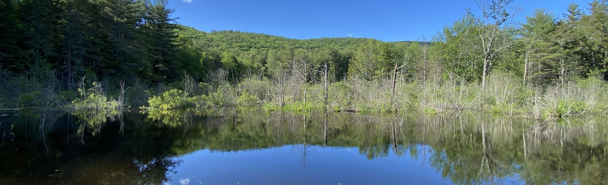 AllTrails | Alton Mountain, Precipice Path W, Main, and Precipice Path ...