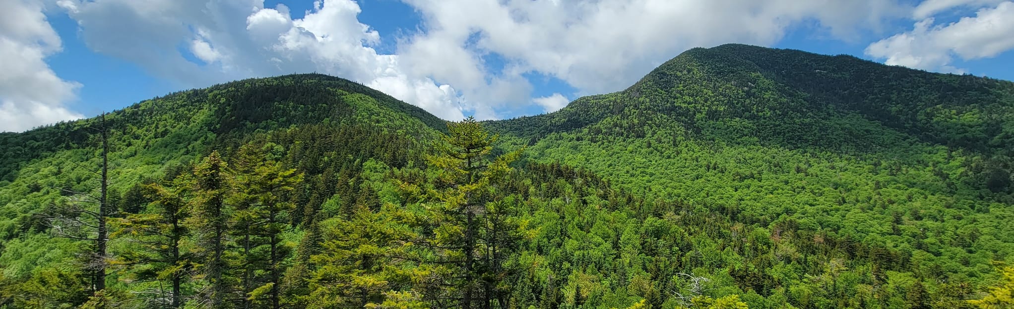 Square Ledge via Oliverian Brook Trail: 251 bilder – New Hampshire ...