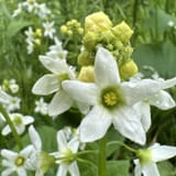 Centennial Trail, Washington - 654 Reviews, Map | AllTrails