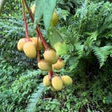 Centennial Trail, Washington - 654 Reviews, Map | AllTrails