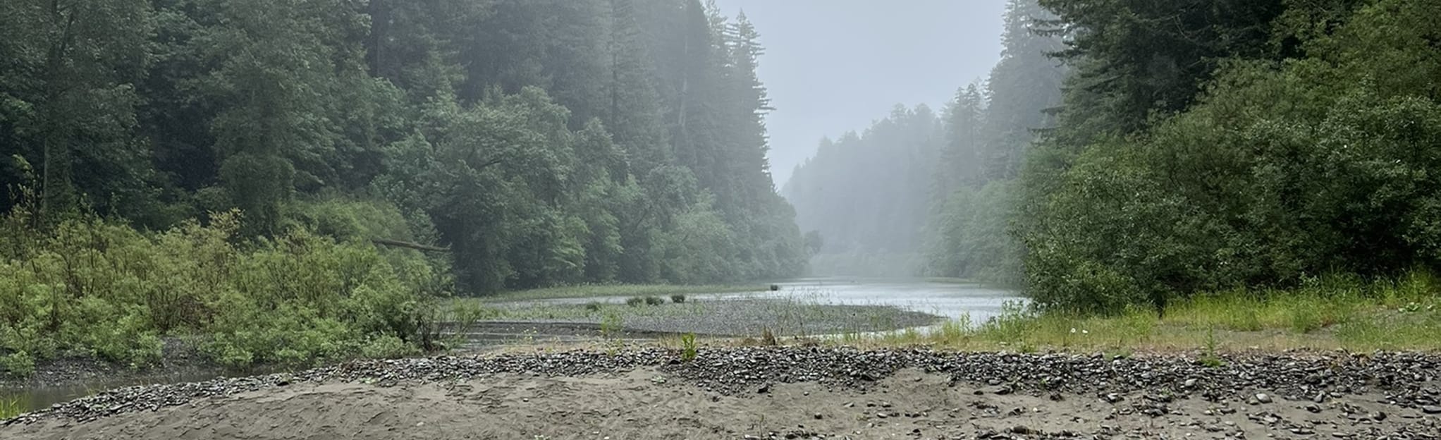 Humboldt Redwoods River Trail: 39 Reviews, Map - California | AllTrails