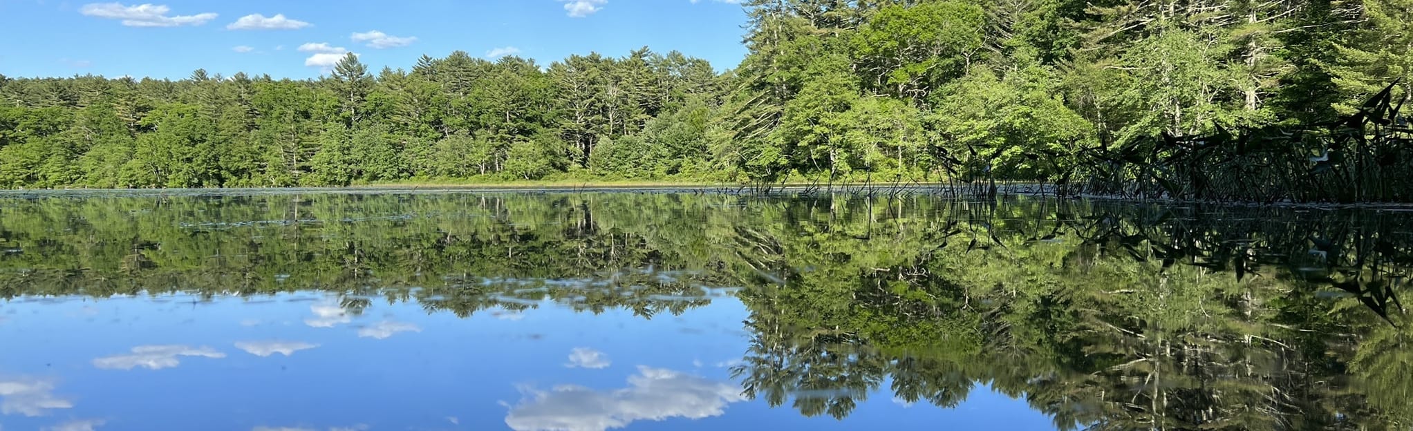 Hicks, Newman Matteson Plain, and Breakheart Trail Loop, Rhode Island ...