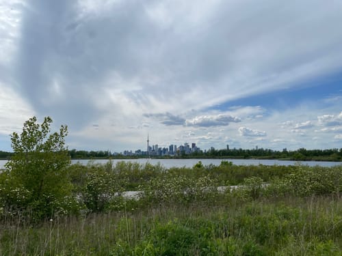2023 Best 10 Trails and Hikes in Toronto | AllTrails
