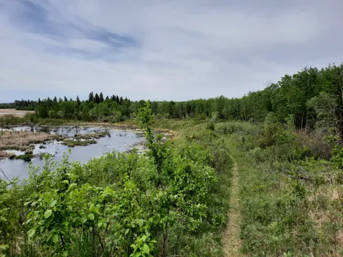 10 Best Hikes and Trails in Cooking Lake/Blackfoot Provincial ...