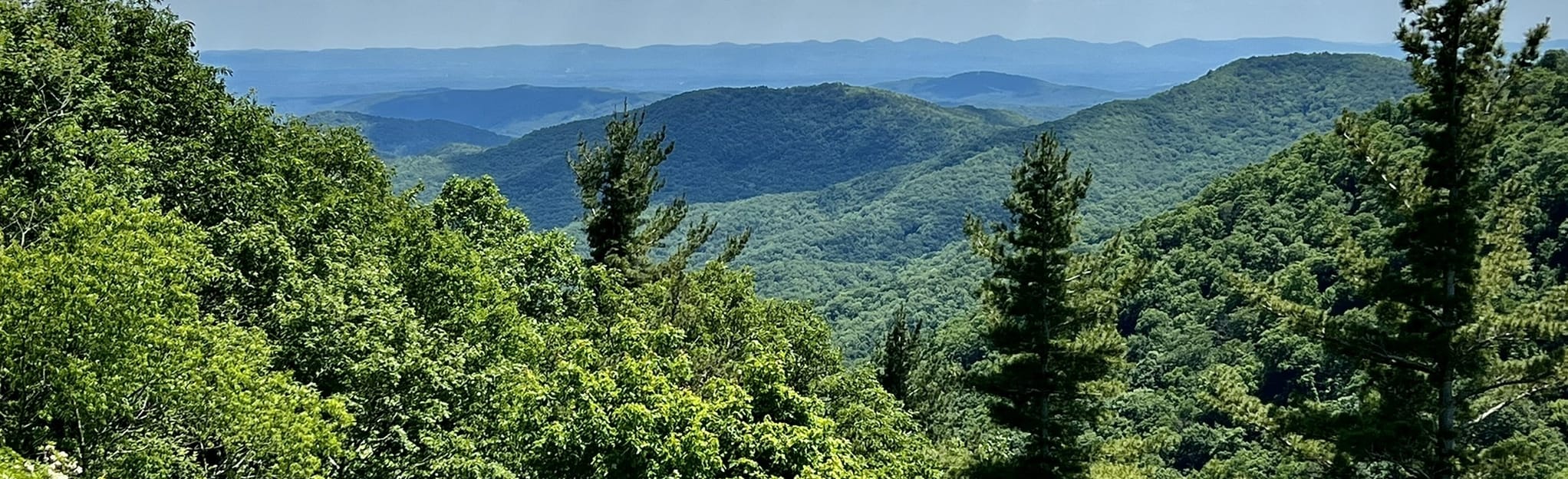AllTrails | Flat Rock Ridge Trail: 26 Reviews, Map - North Carolina
