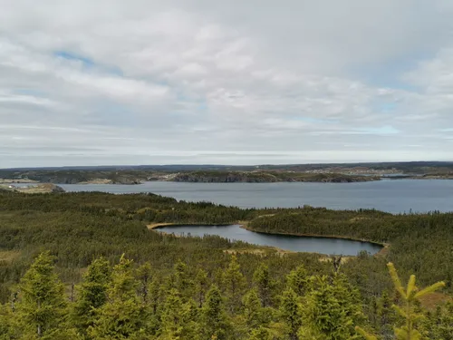 10 Best Trails and Hikes in Newfoundland and Labrador | AllTrails
