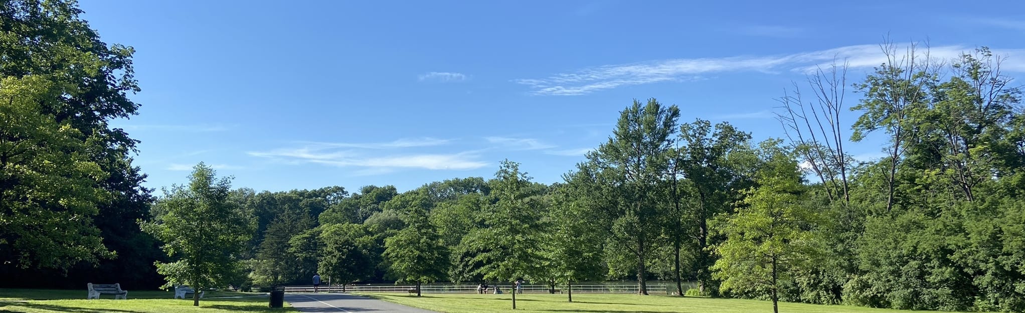 Main Trexler Park Loop, Pennsylvania - 411 Reviews, Map | AllTrails