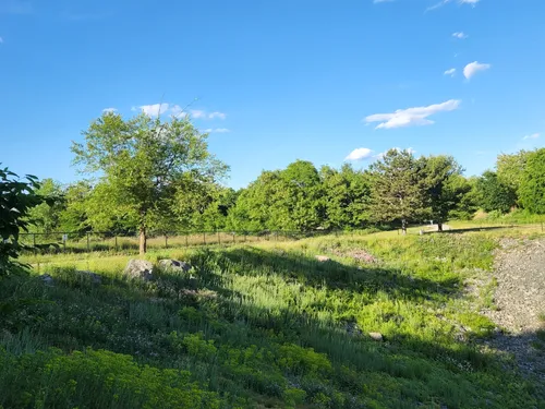 10 Best Easy Trails in Middlesex Fells Reservation | AllTrails