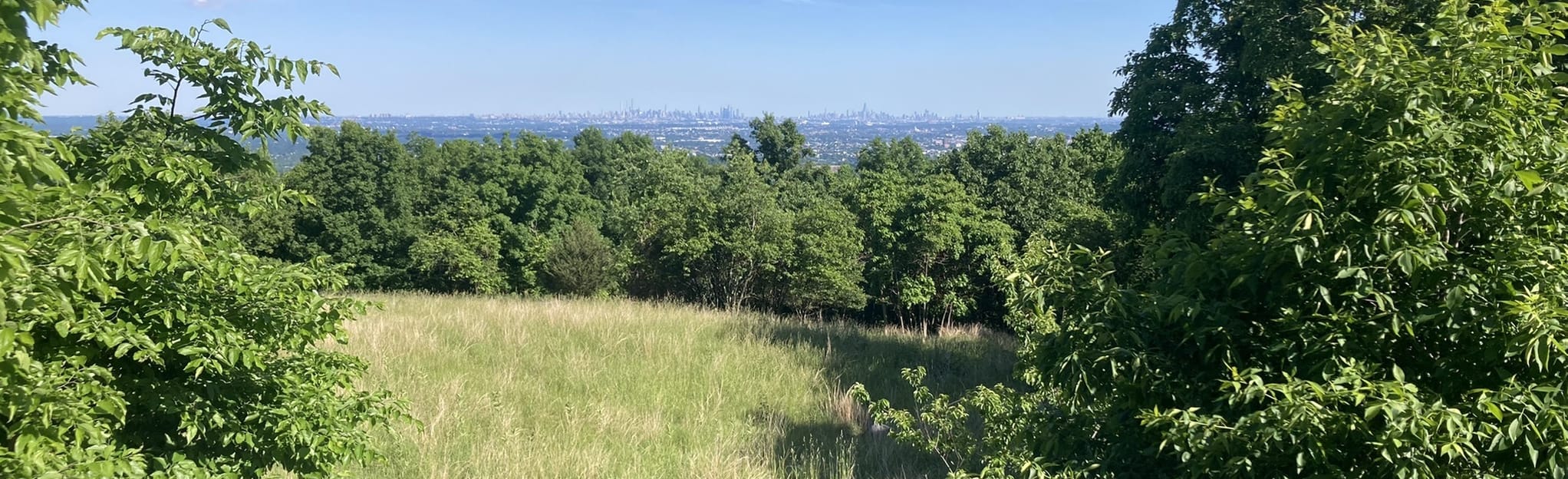 Summit Trail Loop: 438 Reviews, Map - New Jersey | AllTrails