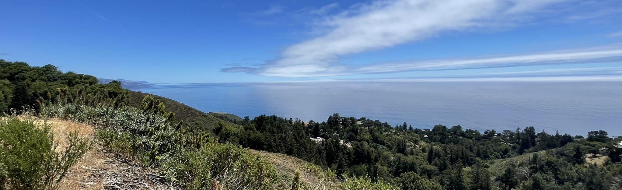 Coast Ridge Road to Terrace Creek Trail, California - 495 Reviews, Map ...