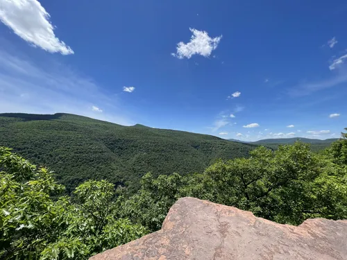 10 Best Hikes and Trails in Kaaterskill Wild Forest | AllTrails