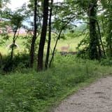 Engineer Fitness Running Trail, Missouri - 370 Reviews, Map | AllTrails