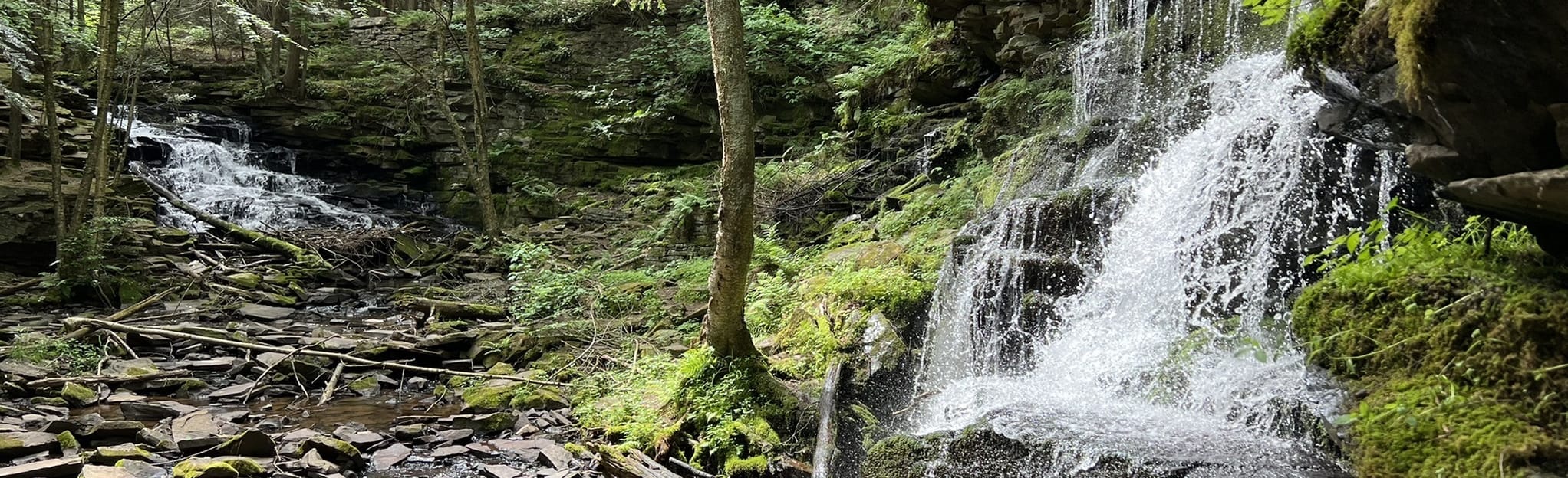 Rosecrans Falls: 145 Reviews, Map - Pennsylvania | AllTrails