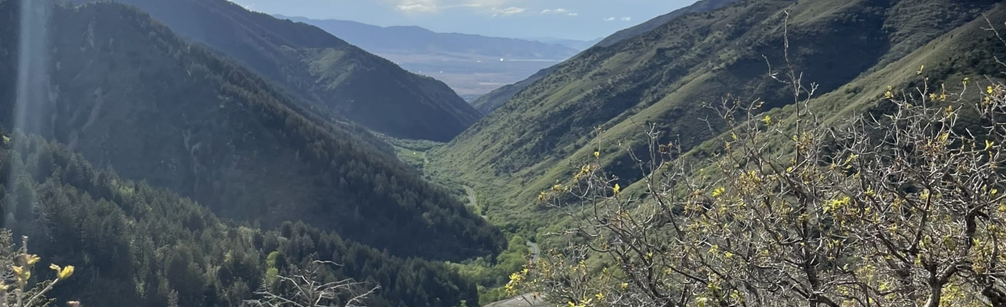 Middle Canyon South Meadow Trail, Utah - 101 Reviews, Map | AllTrails