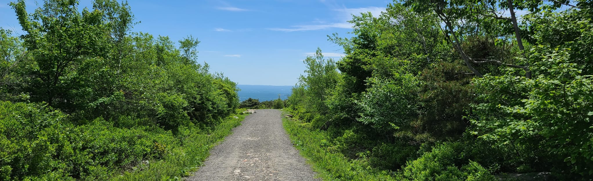 Sam's Point Overlook to Ice Cave Trail, New York - 1,049 Reviews, Map ...