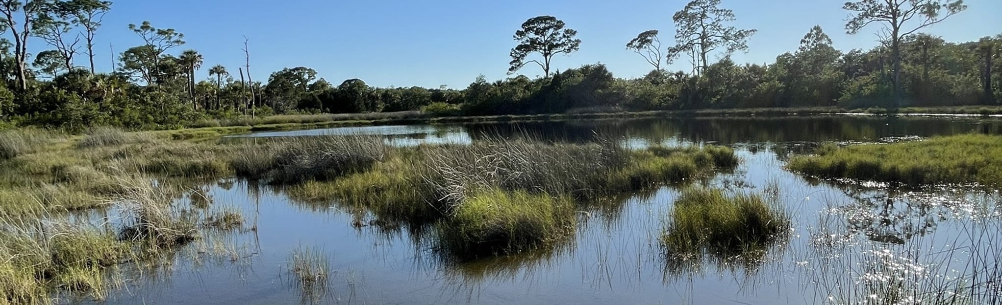 Werner-Boyce Eagle Trail: 19 Reviews, Map - Florida | AllTrails