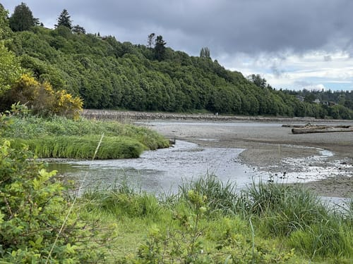 2023 Best trails in Carkeek Park | AllTrails