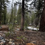 Ten Lakes Trail, California - 441 Reviews, Map | AllTrails