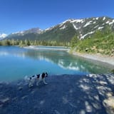 Portage Creek: Trail of Blue Ice, Alaska - 213 Reviews, Map | AllTrails