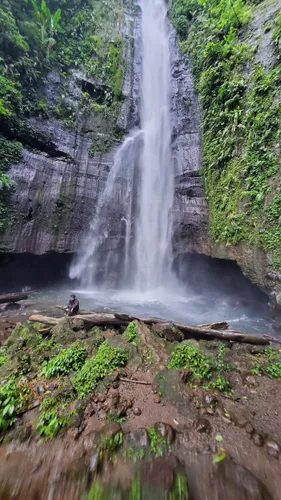 10 Best Hikes and Trails in Mount Gede Pangrango National Park | AllTrails