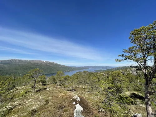 Best Hikes and Trails in Bangsund | AllTrails