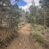 Tanner Trail, Colorado - 115 Reviews, Map | AllTrails