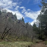Tanner Trail, Colorado - 115 Reviews, Map | AllTrails
