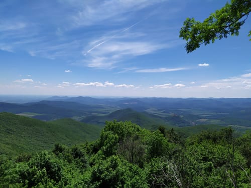 2023 Best 10 Forest Trails in Zemplén Tájvédelmi Körzet | AllTrails