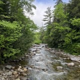 Franconia Brook Trail, New Hampshire - 323 Reviews, Map | AllTrails