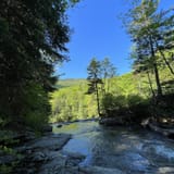 Franconia Brook Trail, New Hampshire - 323 Reviews, Map | AllTrails