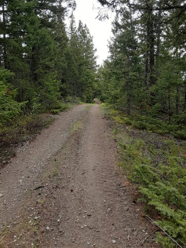 Best Hikes and Trails in Hogsback Lake Recreation Site | AllTrails