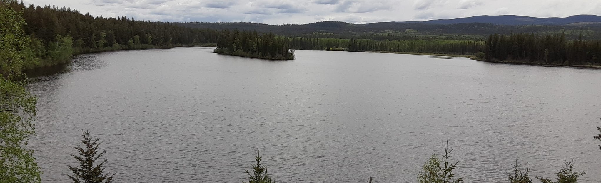 Telegraph Trail, British Columbia, Canada - 2 Reviews, Map | AllTrails