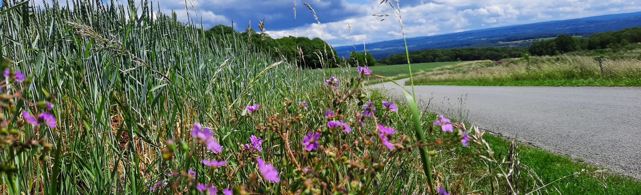 Warre - Palenge - Durbuy | Map, Guide - Luxembourg, Belgium | AllTrails