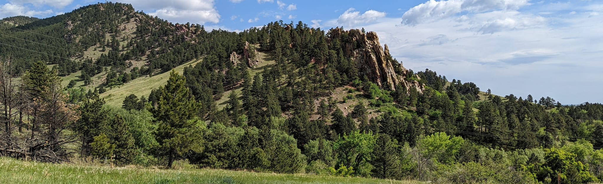 Red Rocks and Anemone Trail: 707 Reviews, Map - Colorado | AllTrails
